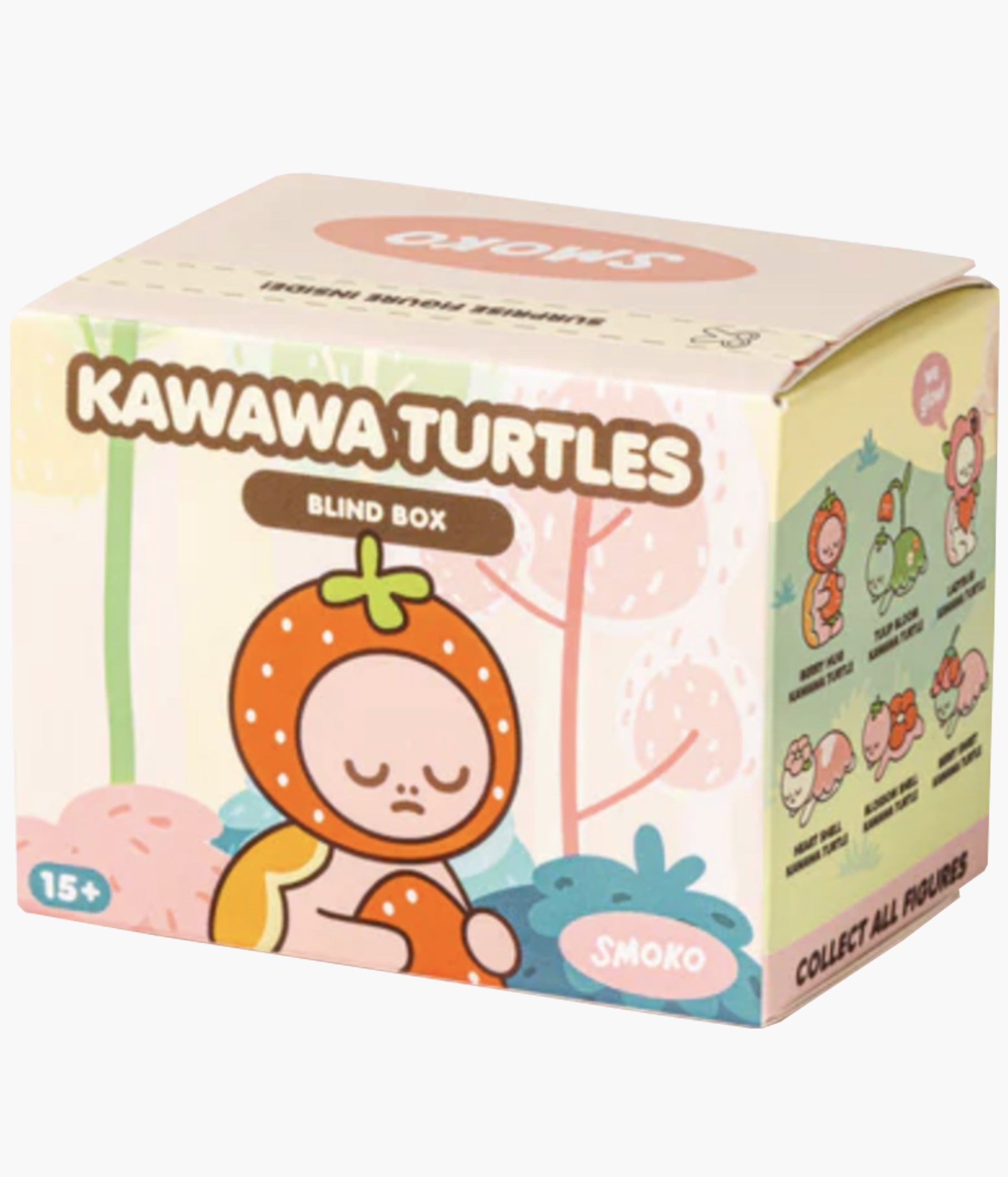 Smoko - Kawawa Turtles - Blind Box Figure – Pickaparty
